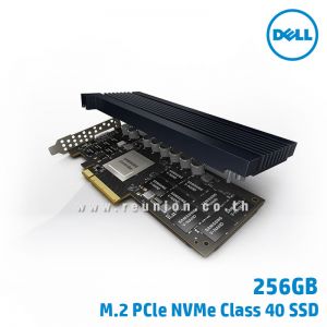 ราคาพิเศษ [SNS400-AZFP] M.2 256GB PCle NVMe Class 40 SSD
