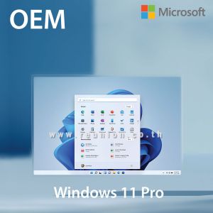 ราคาพิเศษ [OEM] Windows 11 Pro 64-bit Eng Internatonal 1pk DSP OEI DVD